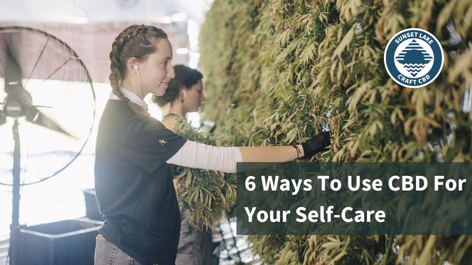 Elevate Your Self Care With Cbd 6 Effective Ways To Use Cbd For